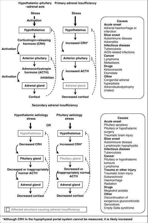 The Diagnosis And Investigation Of Adrenal Insufficiency In Adults