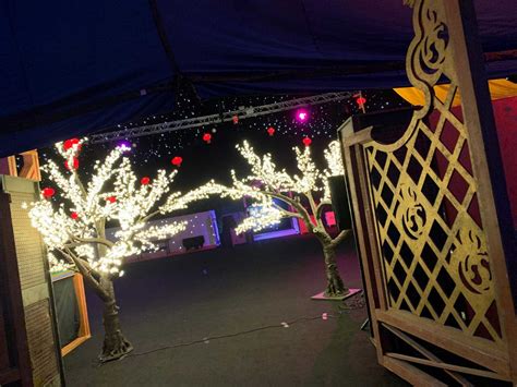 Its All Glow Led Blossom Trees Best Led Blossom Trees Hire Led