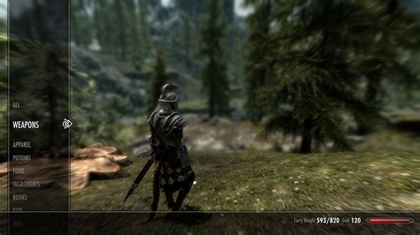 better carry weight at skyrim nexus mods and community