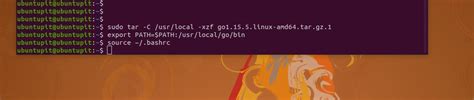 how to install golang go programming language in linux