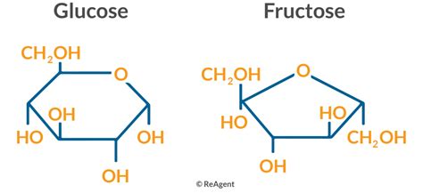 Structure Of Glucose Fructose And Sucrose