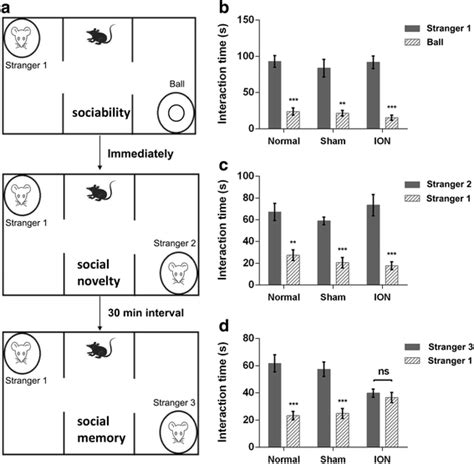 oxytocin is implicated in social memory deficits induced by early