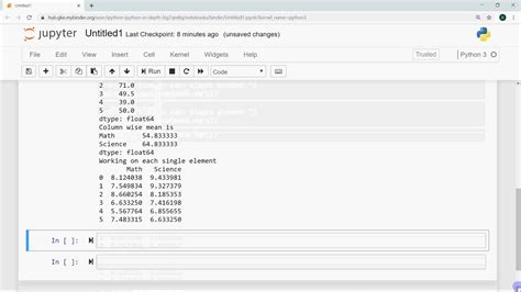 using apply and applymap with data frames in python pandas class xii