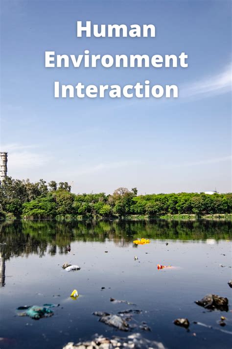 Human Environment Interaction In Geography Human Environment What Is