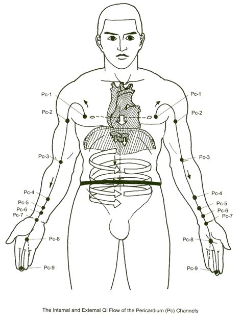 Pericardium Meridian Of Hand Jueyin Location And Points Peakmassager