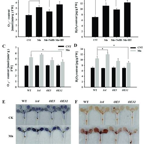 Effects Of H2s On H2o2 And O2 − Contents In Arabidopsis Seedlings Under