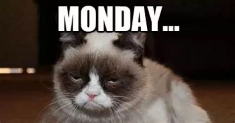 13 Hilarious Monday Memes That Anyone With A Job Can Relate To Mirror
