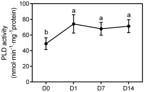Ijms Free Full Text Integrated Lipidomic And Transcriptomic