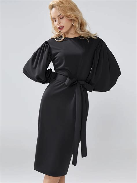 Elegant Plain Lantern Sleeve Crew Neck Dress Stylewe