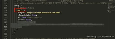 vue3设置proxy代理解决跨域问题 张生荣