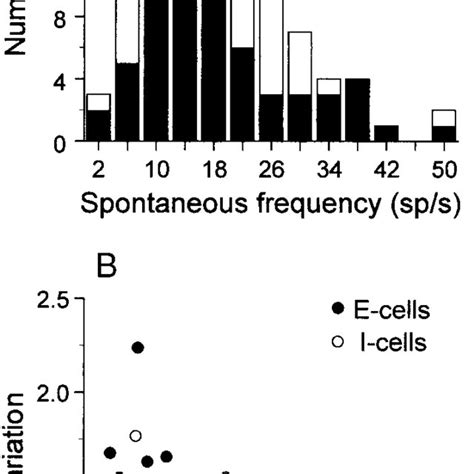 Pyramidal Cell Apical Dendritic Morphology Is Correlated With