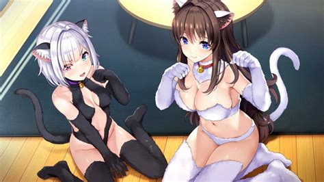 【r18版女忍者エロゲーninnindays2動画3】変化の術でおニャンコ猫コスプレ姿に！桔梗のムチムチ爆乳感がたまらん！ くノ一 ニンニン
