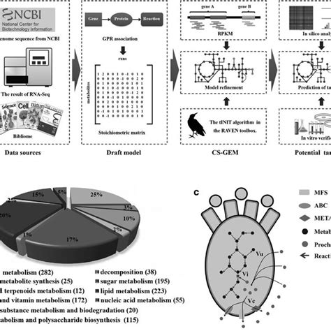 Basic Properties Of The Ipd1512 Genome Scale Metabolic Model Download