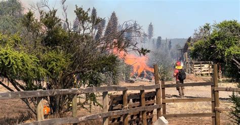 Más De Mil Hectáreas Consumidas Por El Fuego En Limache Villa Alemana