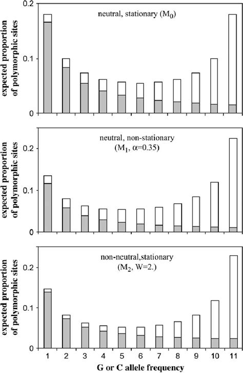 Expected Allele Frequency Distribution Under Three Biallelic