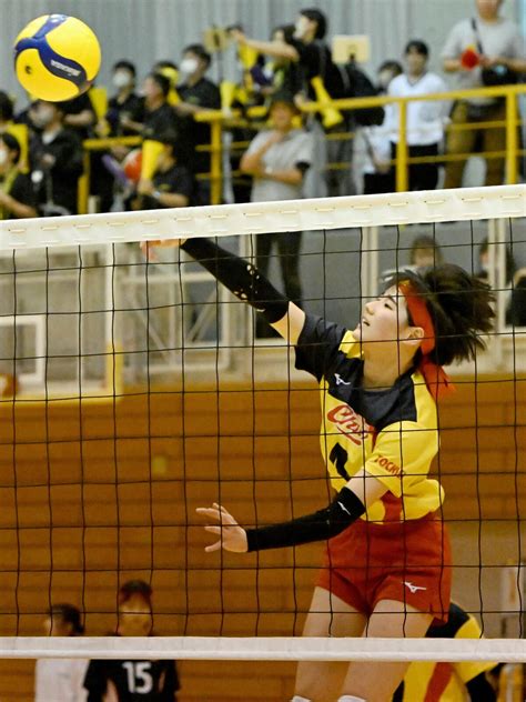 春高バレー県予選の決勝展望 女子・新旧女王の覇権争い 男子・足大付v5なるか 47news（よんななニュース）