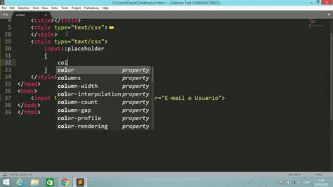 ≫ como cambiar el color del placeholder de un input text cambiar