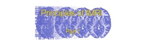 【fmri Note】module 14 Pre Processing Of Fmri Data Part2 知乎