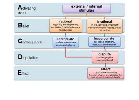 Examples Of Abc Model Behavior