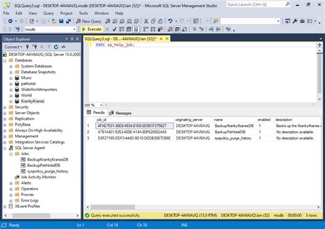 create a sql server agent job using t sql database guide