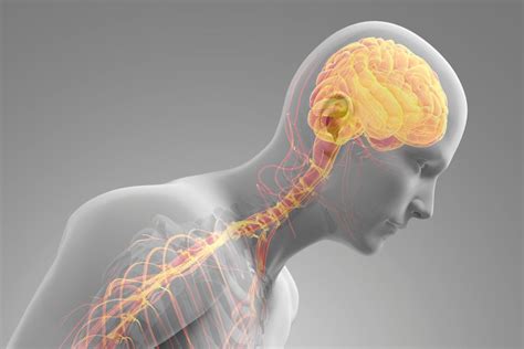 Deep Brain Stimulation Surgery For Parkinsons Disease Dr Jaslovleen
