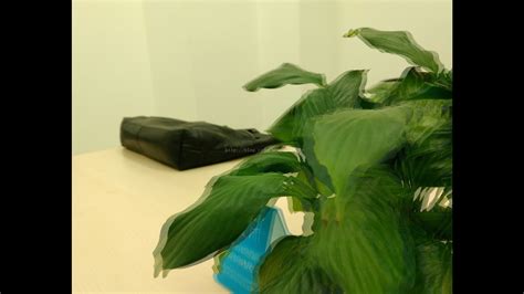 android手机裸眼3d技术原理和编程实现 手机3d播放 透镜 csdn博客