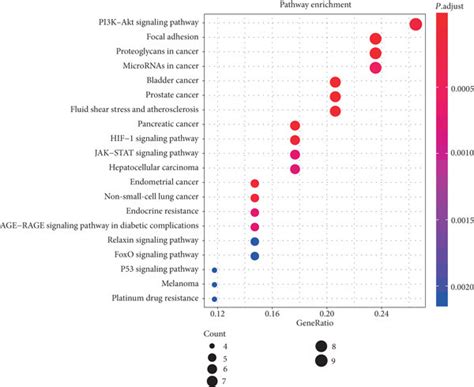 Kegg Pathway Enrichment Analysis The Top 20 Significant Pathways With