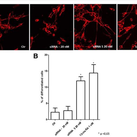 Apoptosis Analysis Of Imr 32 Neuroblastoma Cell Line A Annexin V Pi