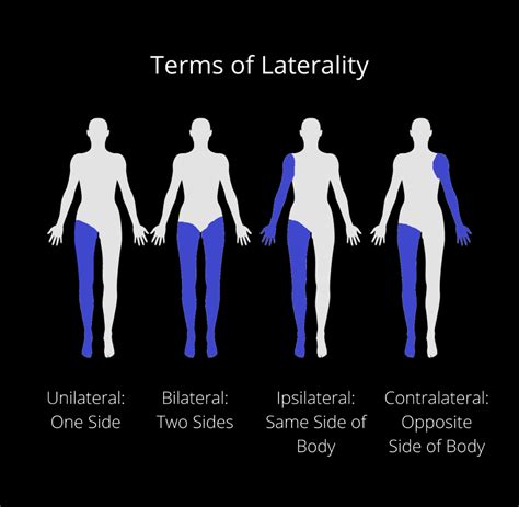 Terminology In Physiotherapy