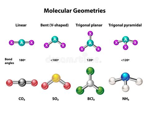 Trigonal Pyramidal Lewis Structure