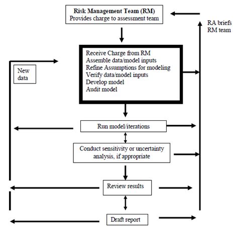 initiation and conduct of all major risk assessments within a risk