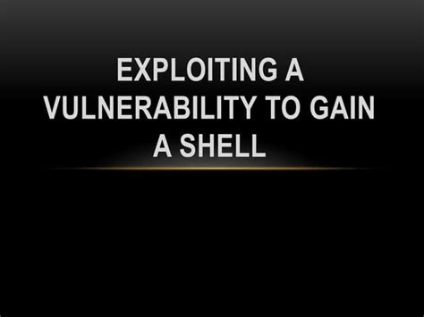 exploiting a vulnerability to gain a shell ppt