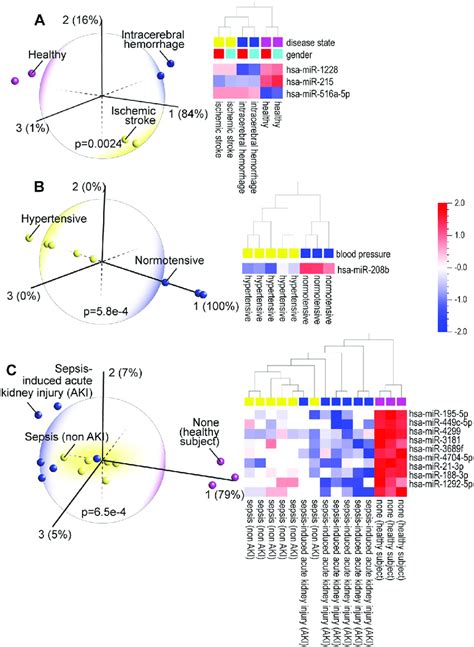 a principal component analysis pca and hierarchical clustering