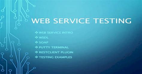 webservice testing [pdf document]