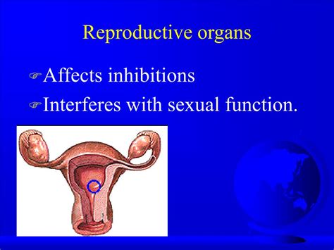 ppt alcohol s effects on the body powerpoint presentation free