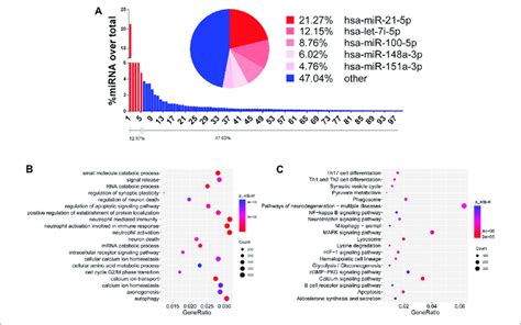 Functional Analysis Of Evs Exo Mirnas A Bar Diagram Showing Mirnas