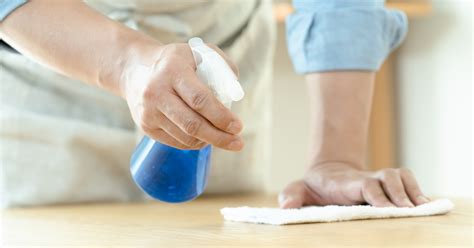 橋本マナミは “キレイ好き” …？ 潔癖症の人との付き合い方について考える ツイナビ