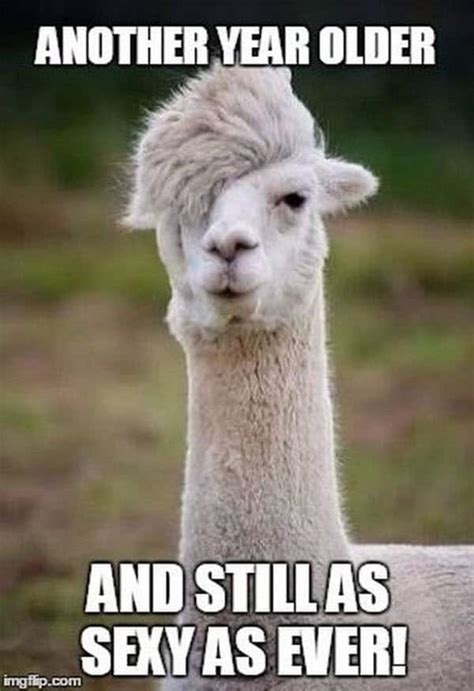 25 Sexy Birthday Memes You Wont Be Able To Resist