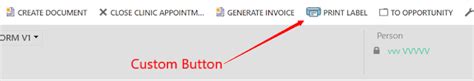 microsoft dynamic crm how to create a custom button in dynamic crm and