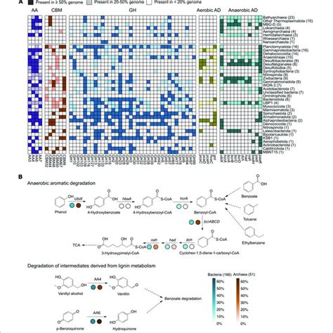 Co Occurrence Patterns Of Microbial And Dom Compositions A Network
