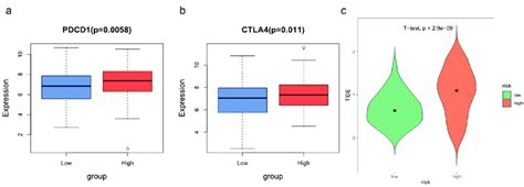 Expression Of Immune Checkpoint Molecule And Tide Scores For High And