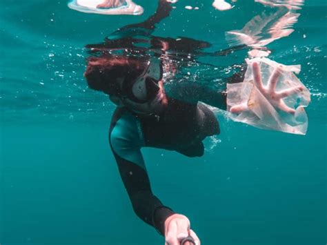 The Importance Of Plastic Recycling Dcw