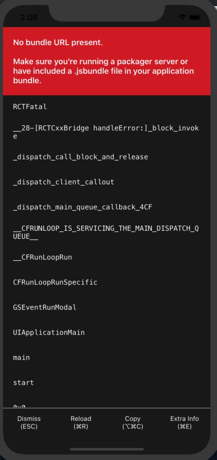 reactjs why does `react native run ios` show no bundle url present