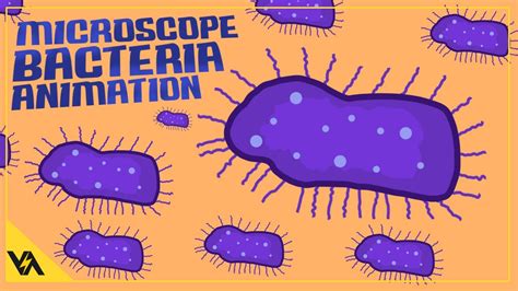 microscope bacteria animation in after effects tutorial youtube