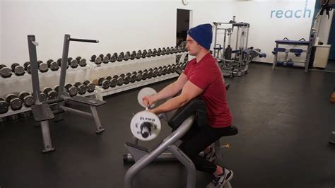 Preacher Curl Supinated Ez Bar Youtube