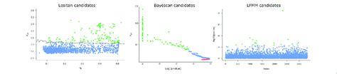 Detection Of Outlier Snps Under Positive Selection Using Fst Approach