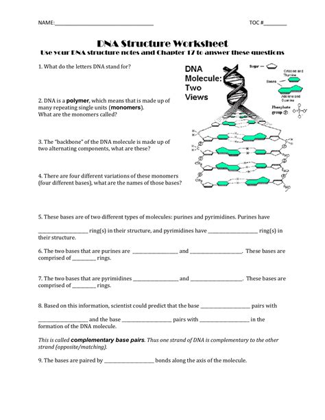 Dna Structure Worksheet