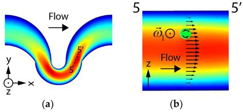 fluids free full text two way coupling fluid structure interaction