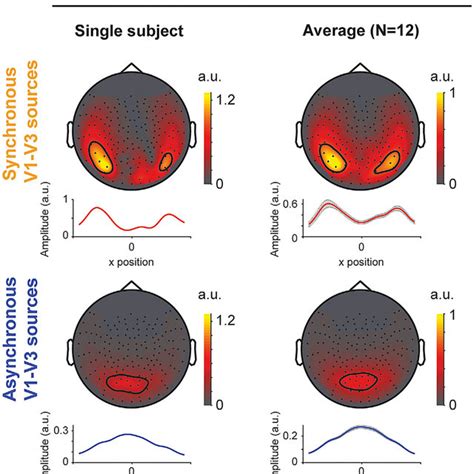 The Effect Of Cortical Geometry And Neural Synchrony On Meg Sensor