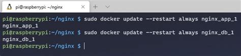 nginx proxy manager raspberry pi install instructions